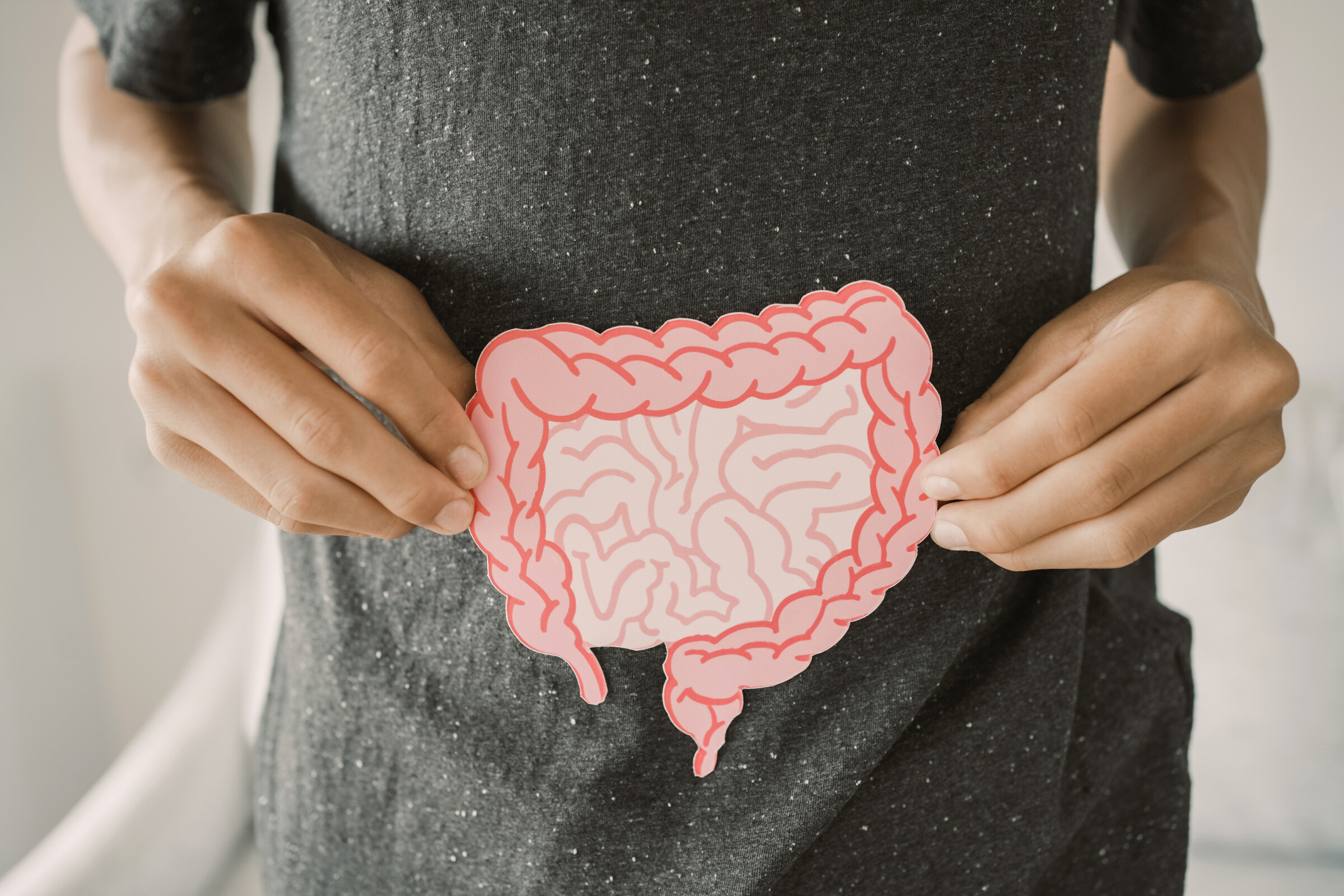 Mouse study offers new clues about interrelationship of ASD, GI ...